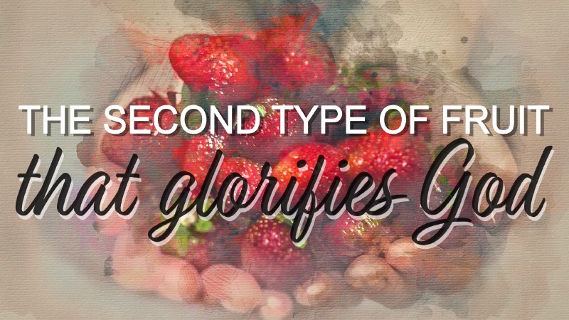 The Second Type of Fruit That Glorifies God | House On The Rock Family ...