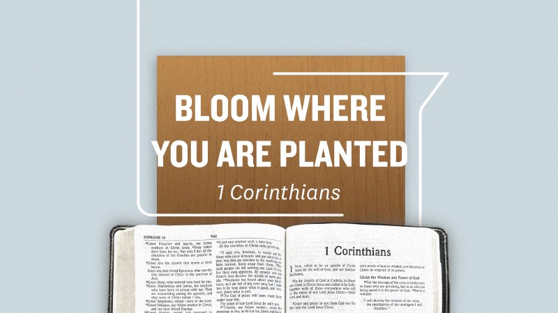 Bloom Where You Are Planted | Christ Place Church