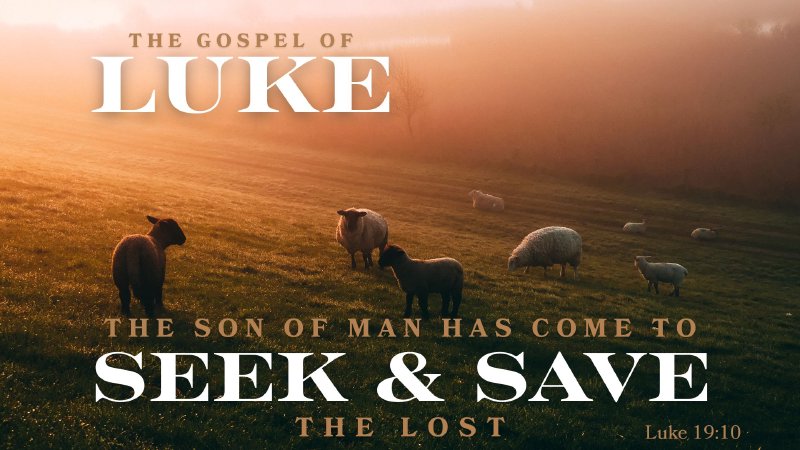 Luke 6 | Calvary Chapel Bozeman