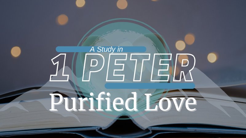 Purified Love | Mount Vernon Baptist Church - AL