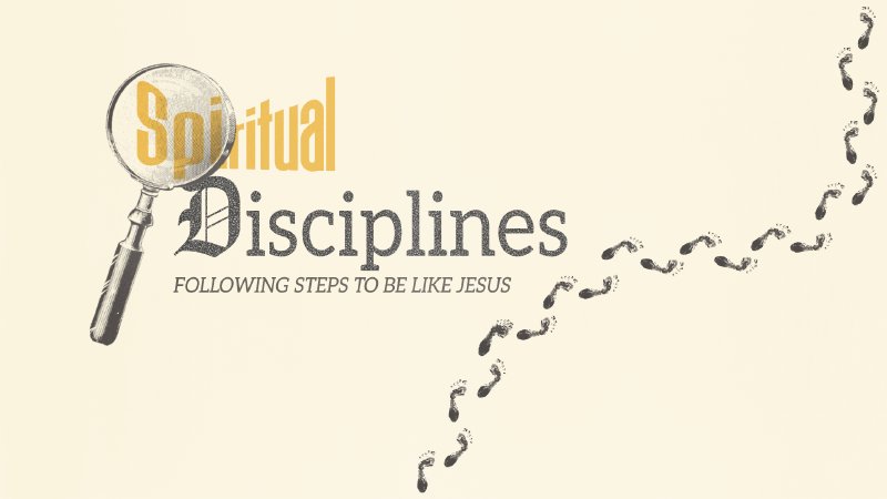 Reap | Living Hope Church