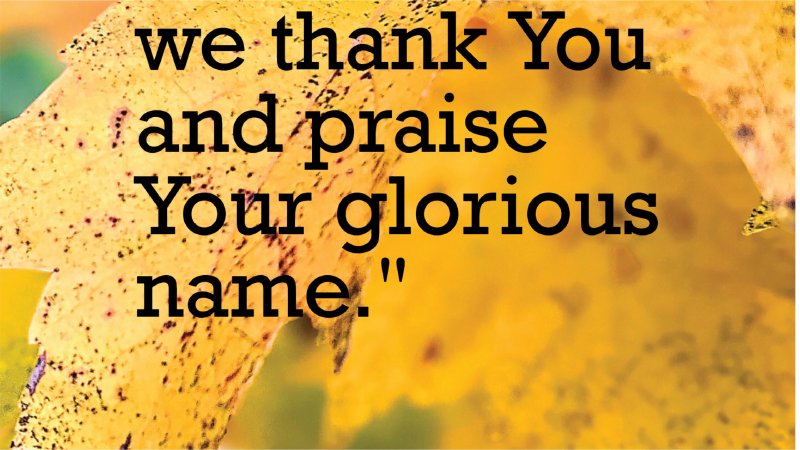 Proper 22 | St John's Evangelical Lutheran Church