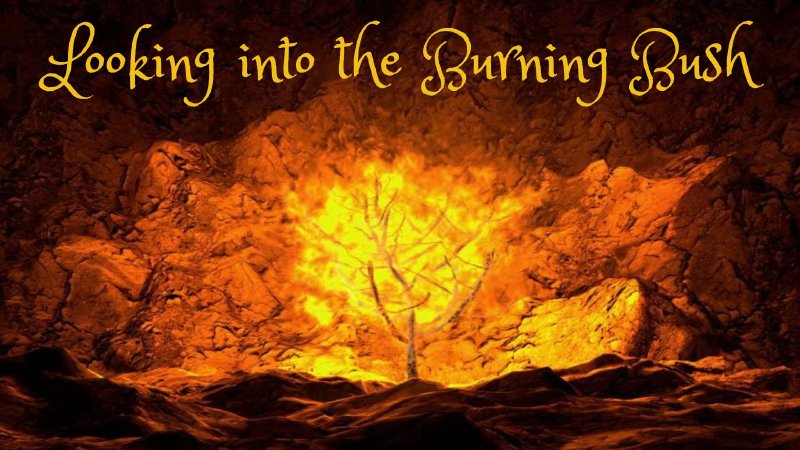 Looking into the Burning Bush-The God Who Sees | Lighthouse Christian ...