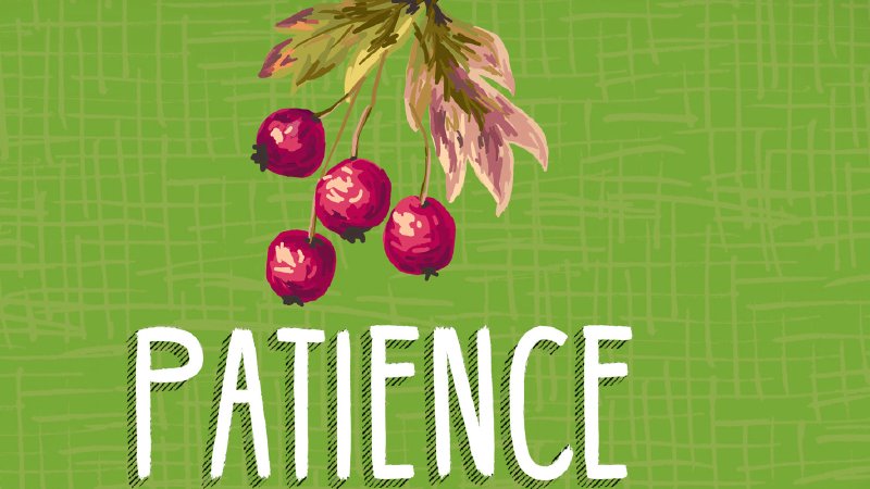"Cultivating Patience" 7/30/2023 | St. James Presbyterian Church