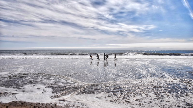 An Absurd Love | FirstSF