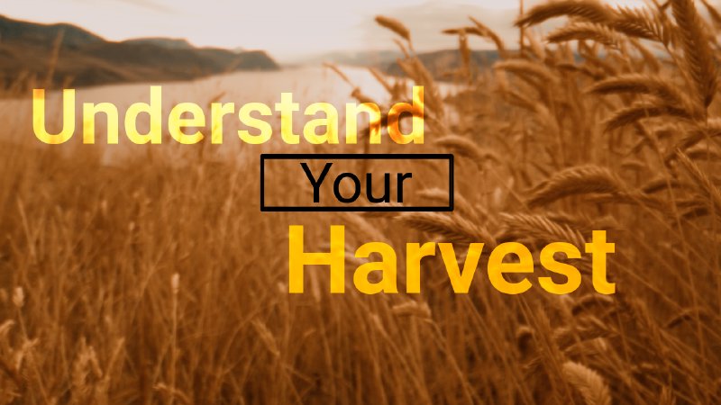 Understand Your Harvest | www.lifeatpraise.org