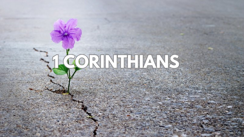 1 Corinthians 16 | Calvary Chapel Palm Harbor