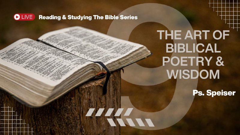 Reading and Studying The Bible - The Art of Biblical Poetry and Wisdom ...