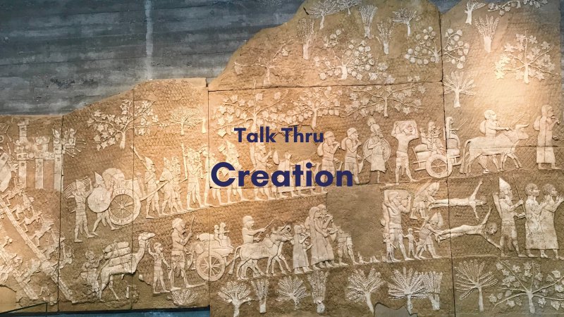 Creation | Disciple Daily