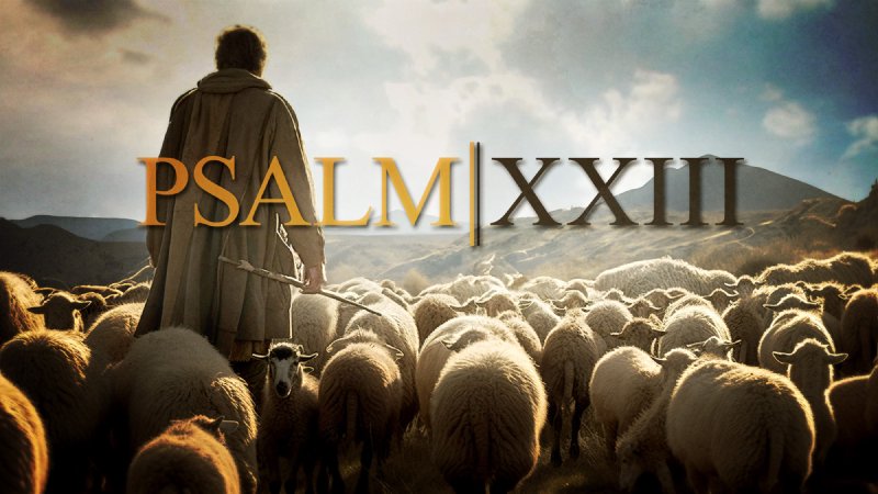 The Rod and Staff | Grace Church