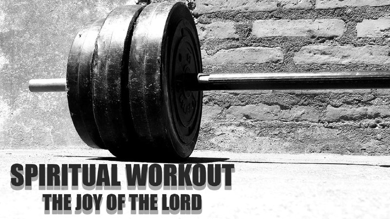 The Joy of the Lord | Davison Missionary Church