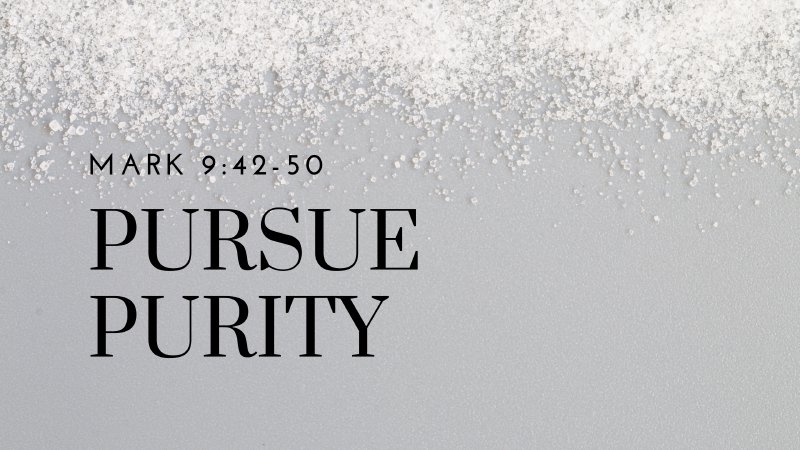 Pursuing Purity Logo