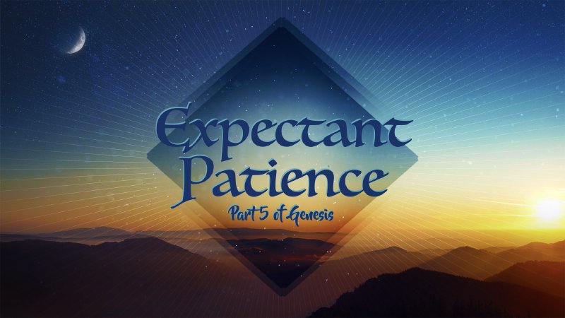 Expectant Patience | Restoration Seattle