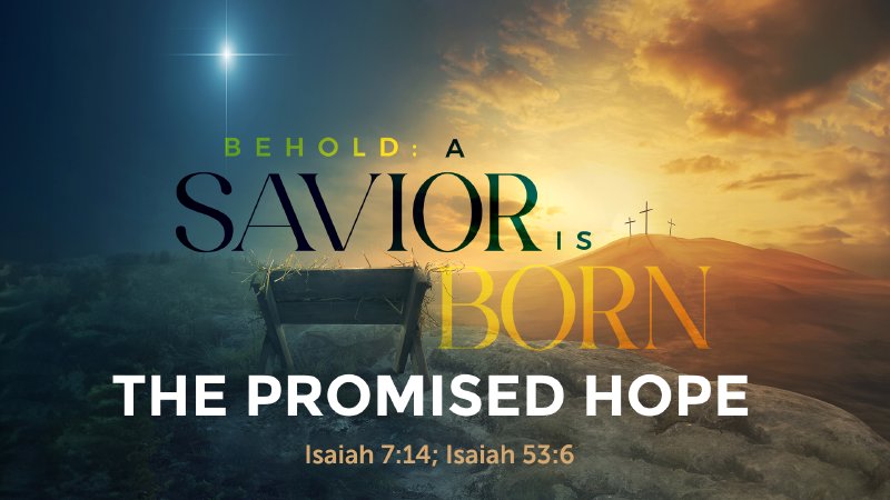 Behold a Savior is Born: The Promised Hope | Pine Forest Baptist Church