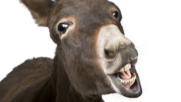 Loose The Colt | Freedom Tabernacle