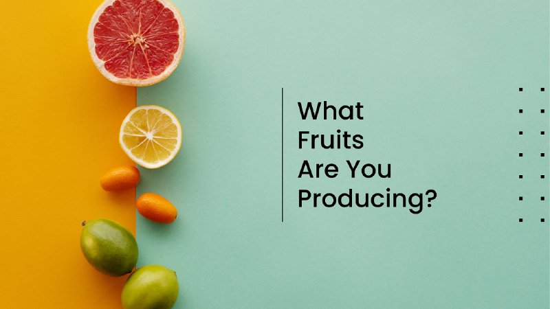 What Kind of Fruits Are You Producing in Your Life? | Fellowship ...