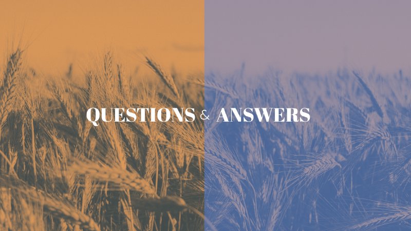 Questions and Answers | Lifehouse Fellowship Church