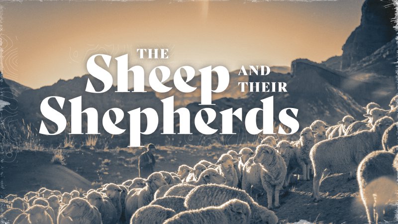 The Sheep and Their Shepherds | Redeemer Bible Church - AZ