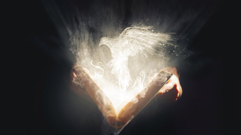 THE SPIRIT OF SUBMISSION | Mountain View Chapel