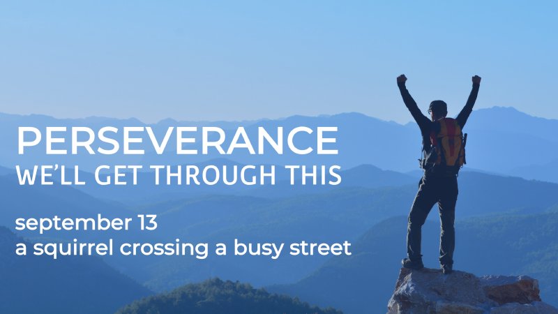 A Squirrel Crossing a Busy Street | First United Methodist Church - NC