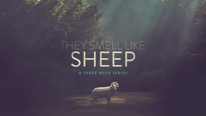 They Smell Like Sheep | Stones Crossing Church