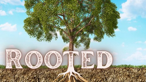 ROOTED Sermon Series | Flat Rock Baptist Church
