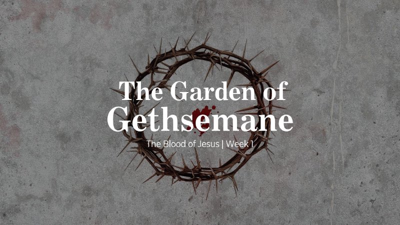 The Garden of Gethsemane | New Hope Worship Center