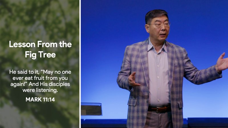 Lessons from the Fig Tree | Church of Southland