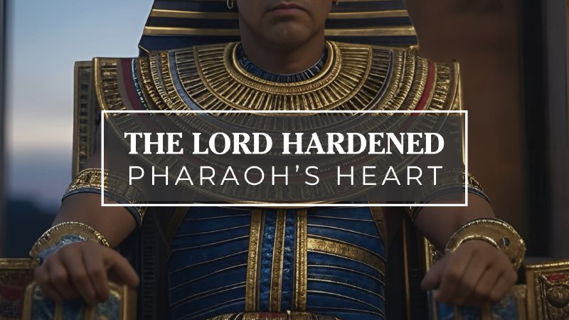 The Lord Hardened Pharaoh’s Heart | Anchor Bible Church