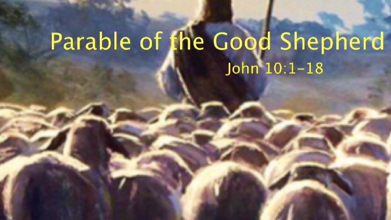 Parable of the Good Shepherd | Rebirth Tabernacles of Glory
