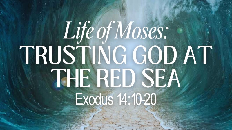 Life of Moses: Trusting God at the Red Sea | ParkviewNaz
