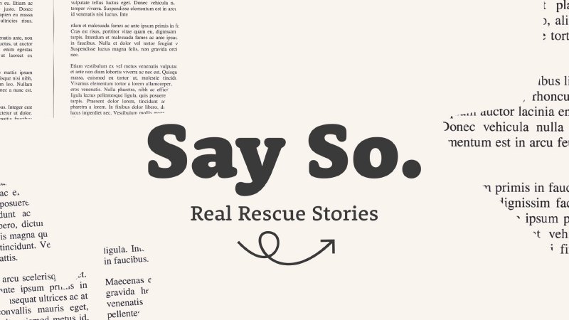 Say So! Week 6 | The Springs