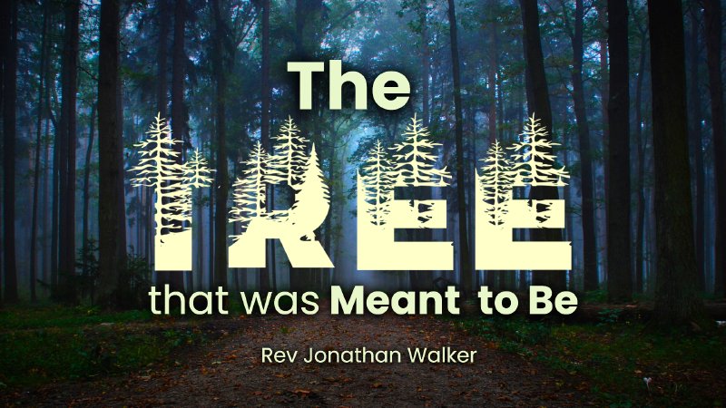The Tree that was Meant to Be | Bethel United Pentecostal Church