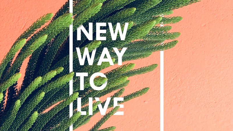 Two Ways to Live | South Shores Church