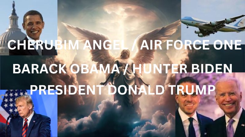 THE CHERUBIM ANGEL | AIR FORCE ONE | BARACK OBAMA, HUNTER BIDEN ...