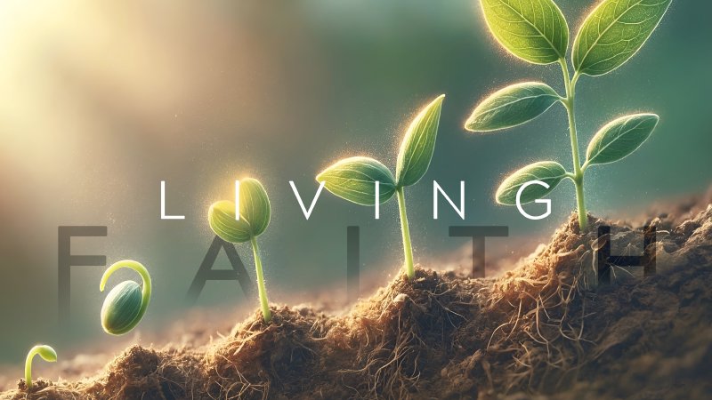 Faith to Give | Living Faith Christian Church