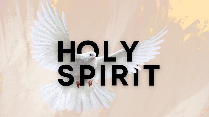 The Role of the Holy Spirit | Spirit Life Assemblies of God Church