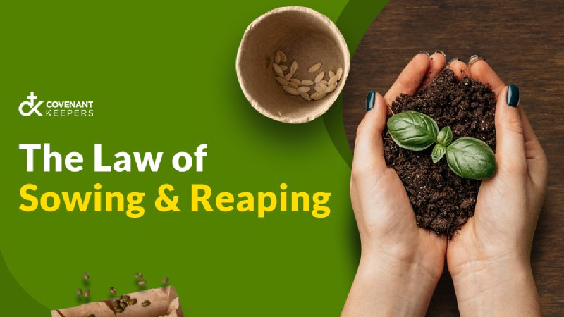The Law of Sowing & Reaping | Covenant Keepers, Inc.