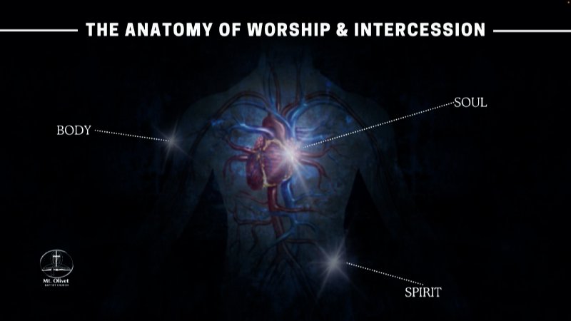 The Anatomy Of Worship & Intercession | Mt. Olivet Baptist Church