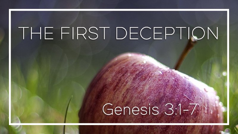 The First Deception | CEFC