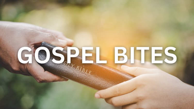 What Road? | NP Connect