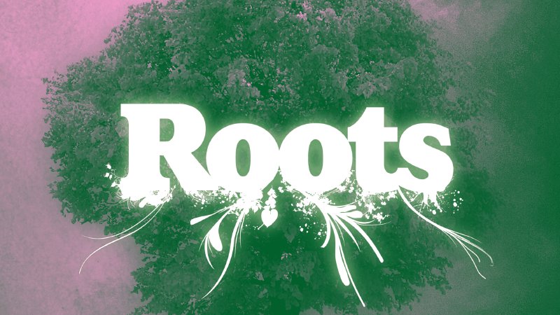 Roots (Week 1) | LifeSwitch