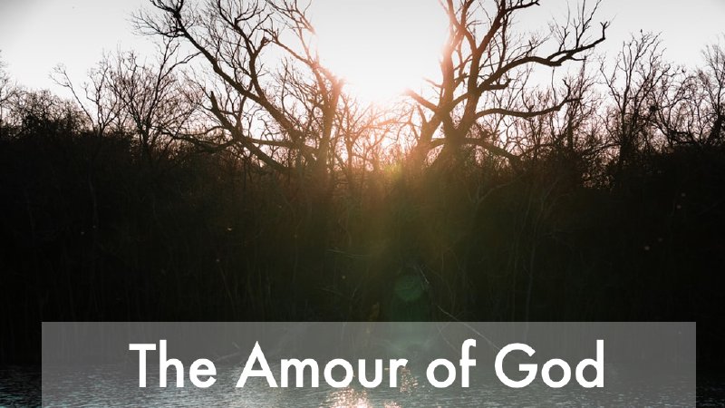 The Amour Of God First Missionary Church