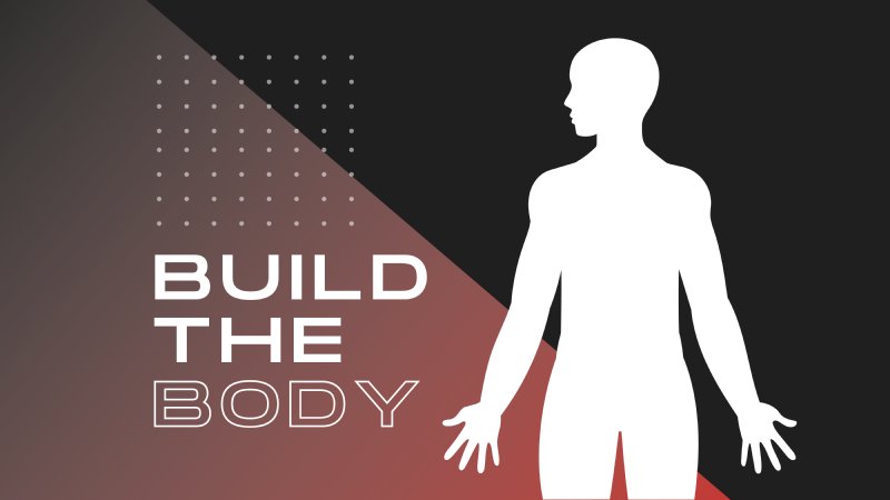 The Fruit of Building the Body | Calvary Baptist Church