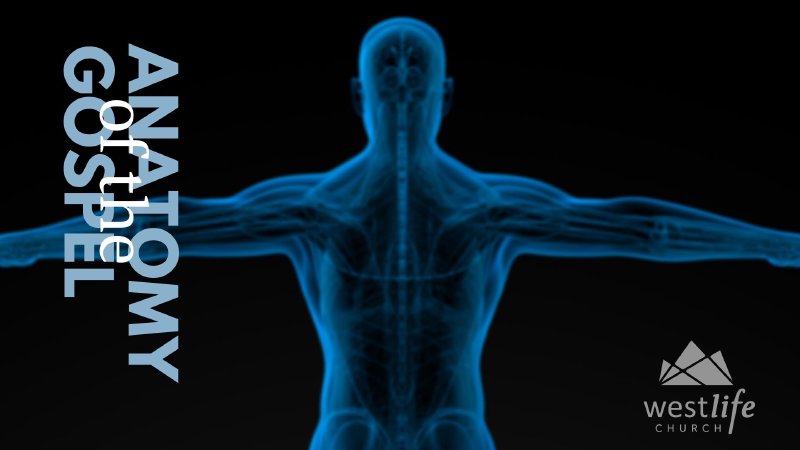 The Anatomy of the Gospel | Westlife Church