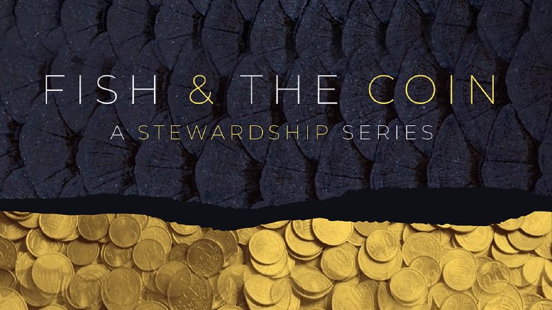 Fish & The Coin | My Rock HQ