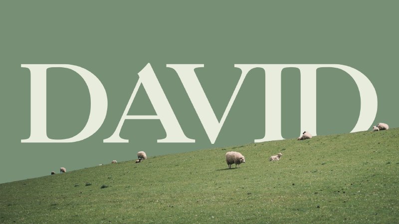 David Series | Community Celebration Church