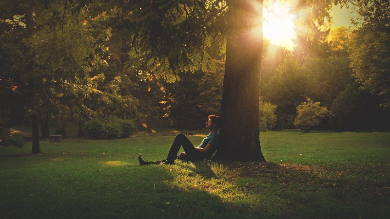 Where Are You? | Common Ground Christian Church