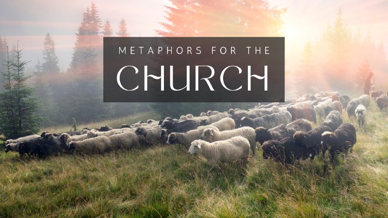 Metaphors For The Church (2024) | Sojourn Church - Perry GA