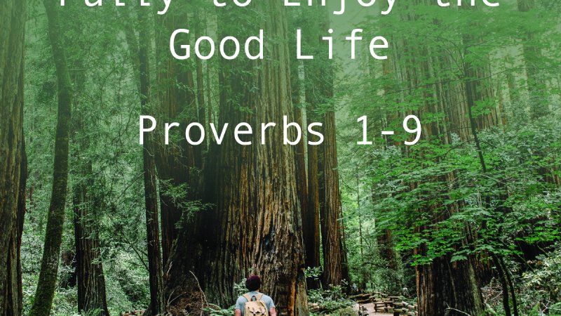 Choose Wisely: Live Fully to Enjoy the Good Life - Week 6 | Summit ...